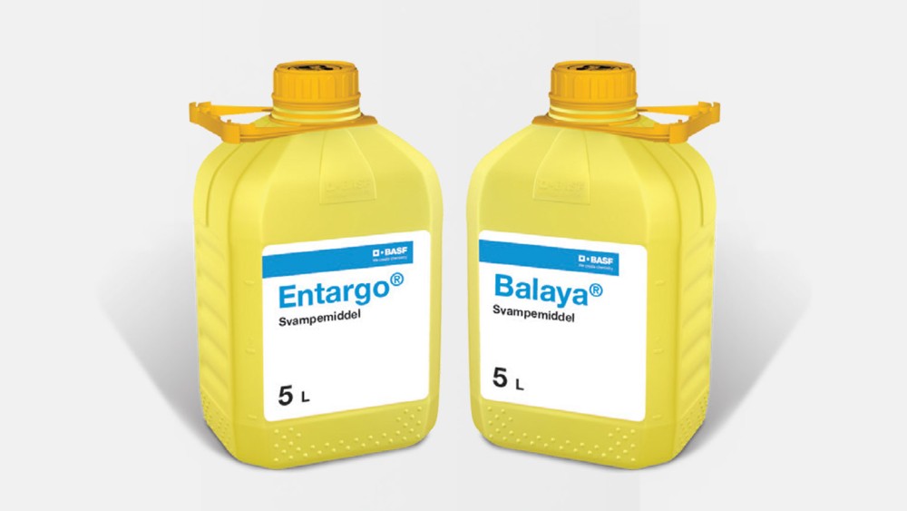 Balaya® og Entargo® - En ny æra for beskyttelse af frøgræs