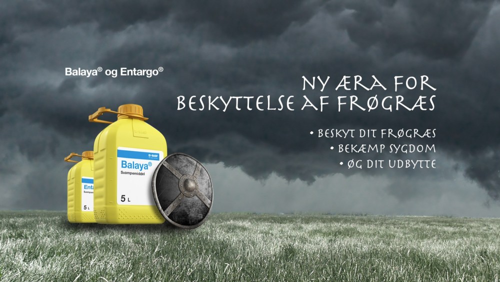 Balaya® - Danmarks stærkste svampemiddel mod Septoria