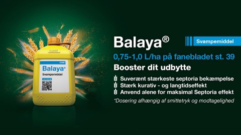 BASF - Løsninger til din succes i planteproduktion.