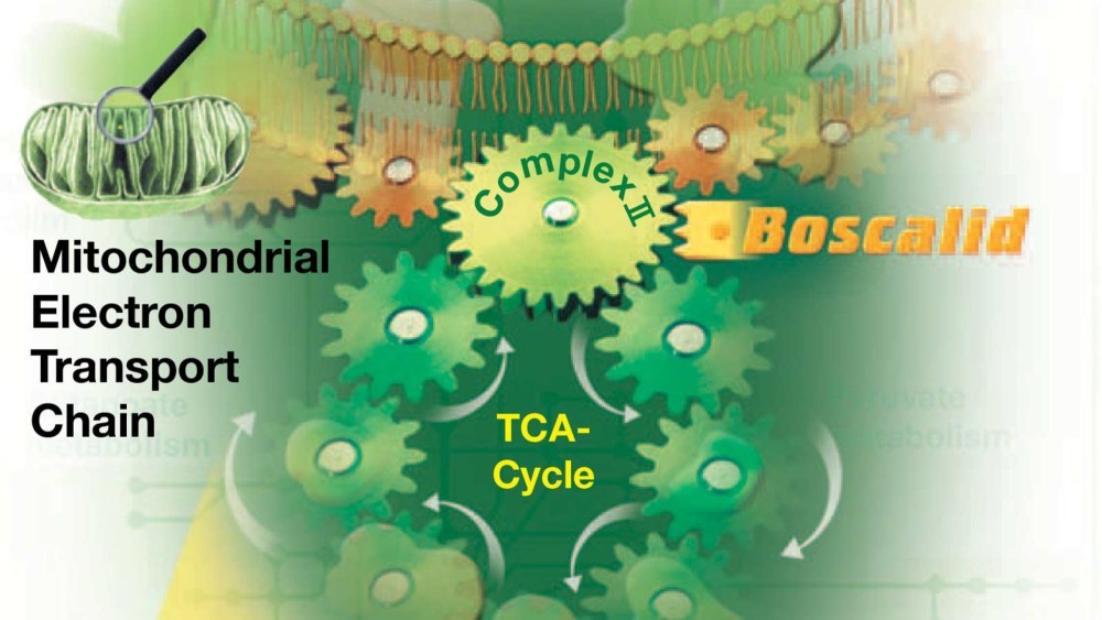 Pictor Active - BASF Agricultural Solutions Danmark
