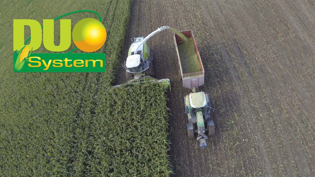 Focus® Ultra - Produktoplysninger & Forhandlere - BASF DK