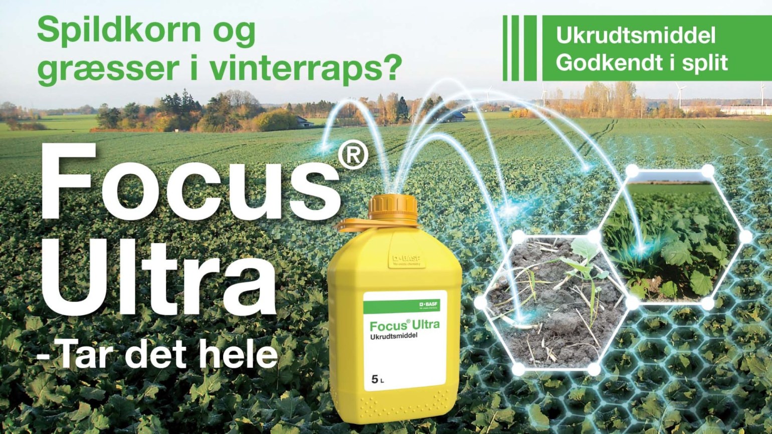 Focus® Ultra ukrudtsmiddel mod spildkorn og græsukrudt