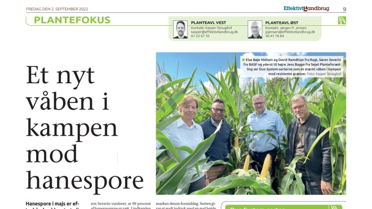 Focus® Ultra - Produktoplysninger & Forhandlere - BASF DK