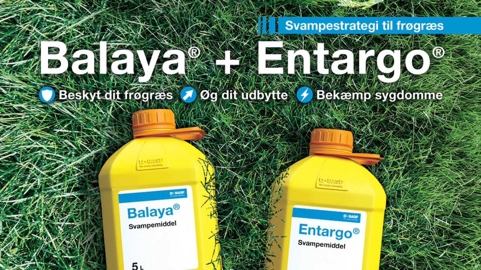 Balaya® og Entargo®